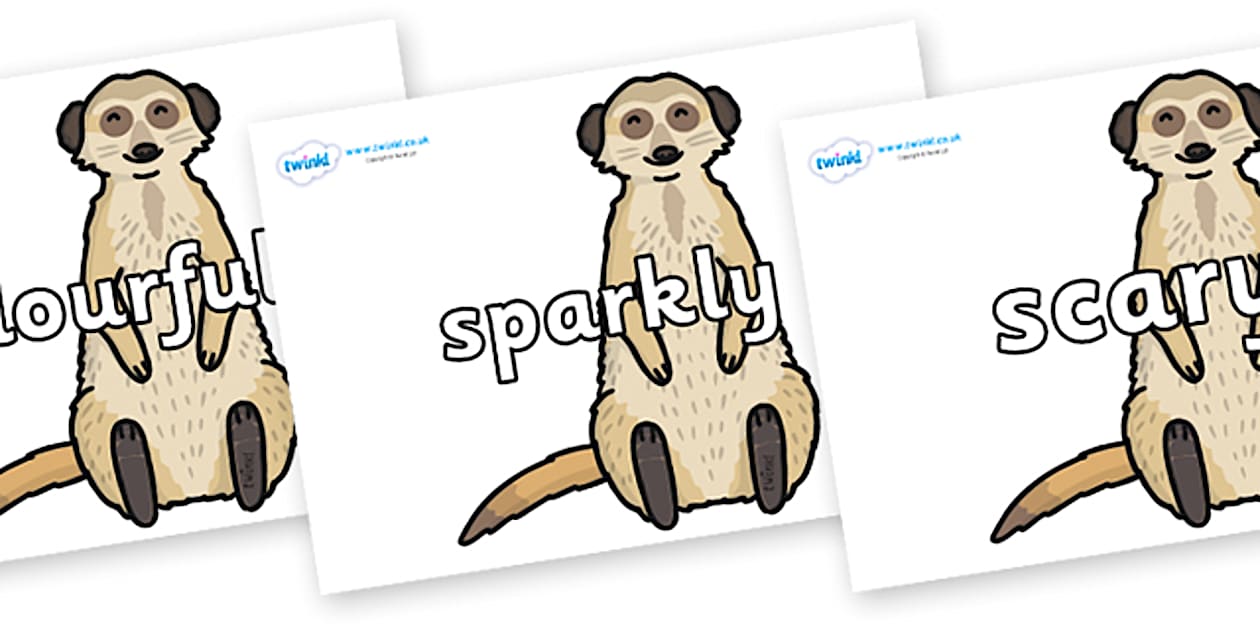 Wow Words on Meerkats (teacher made) - Twinkl