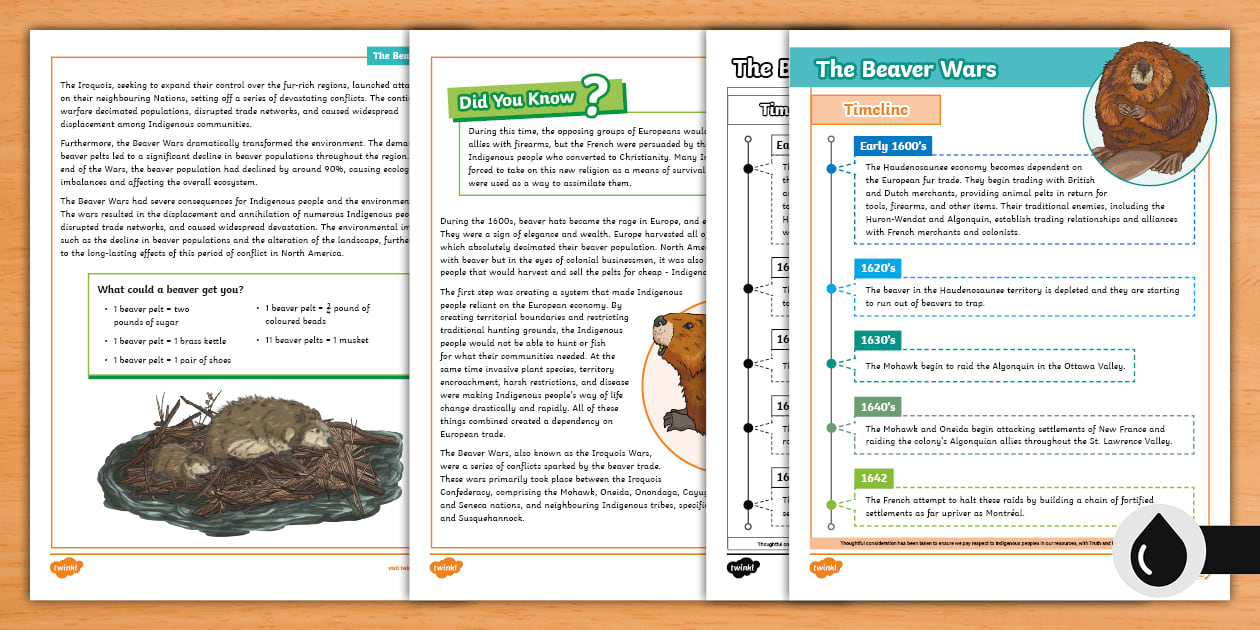 FREE! - The Beaver Wars Fact File (teacher made) - Twinkl
