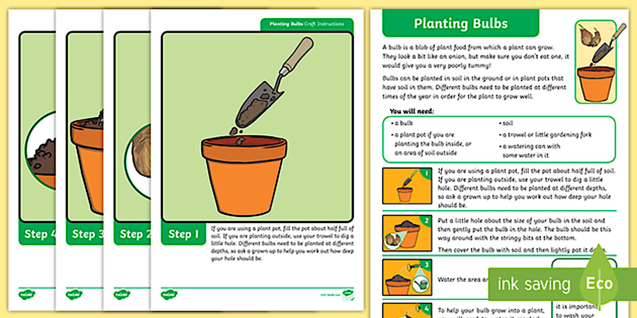 KS1 Planting Bulbs Activity Instructions (teacher made)