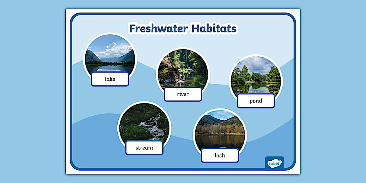 Freshwater Habitats Photo Display Poster