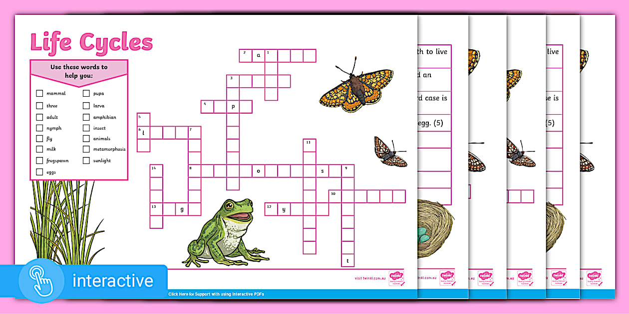 Life Cycle Interactive Crossword - Primary (teacher made)