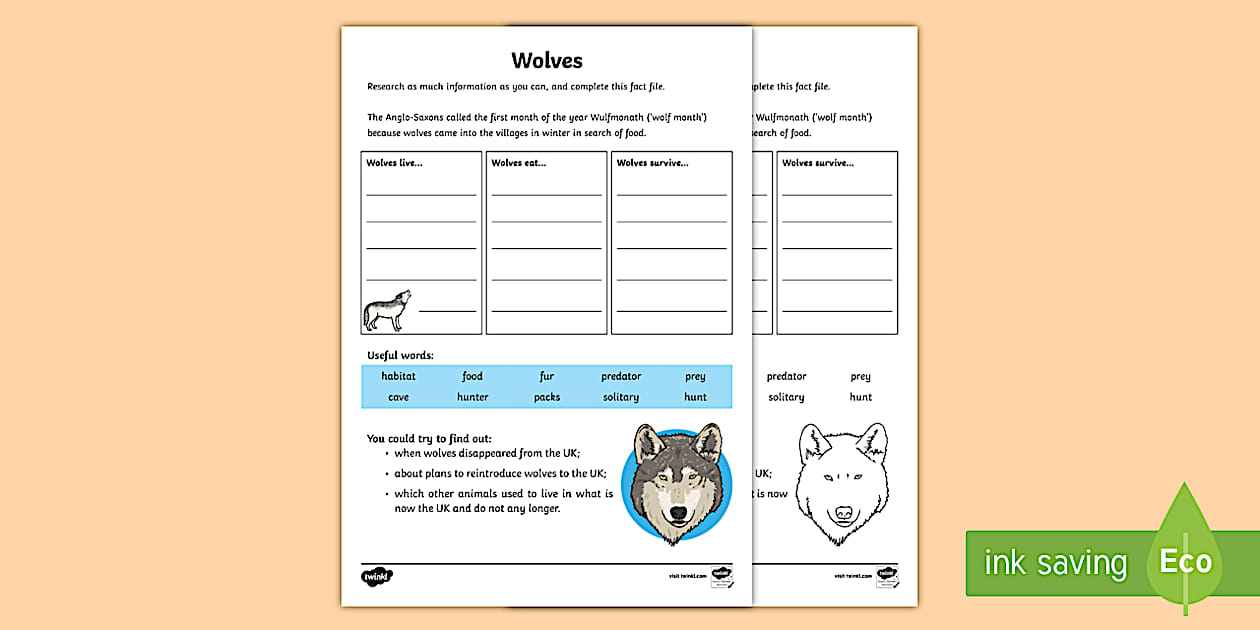 Wolf Worksheet / Worksheets (teacher made) - Twinkl