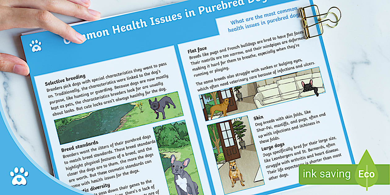 Common Health Issues in Purebred Dogs - Infographic - Pets