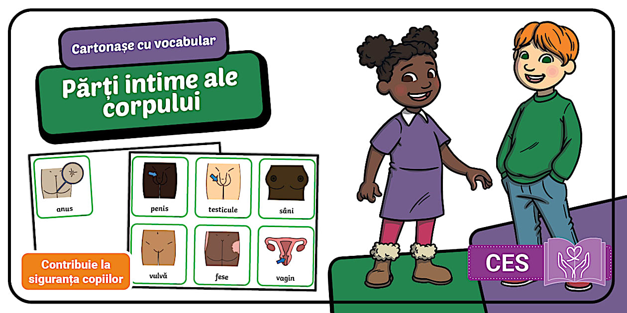 Părți intime ale corpului – Cartonașe cu vocabular