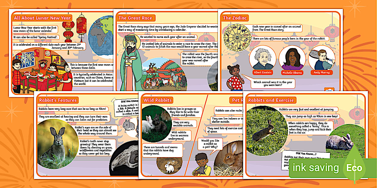 EYFS All About Rabbits Lunar New Year Fact Files | Twinkl