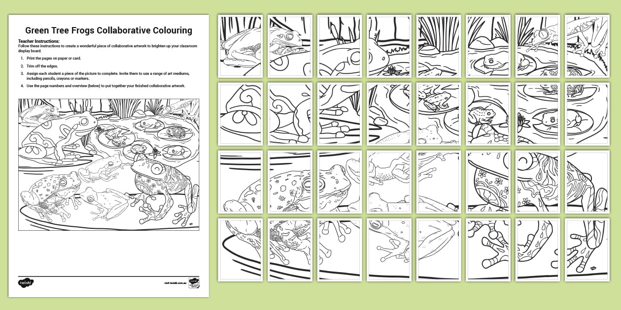 Green Tree Frog Collaborative Colouring - Twinkl