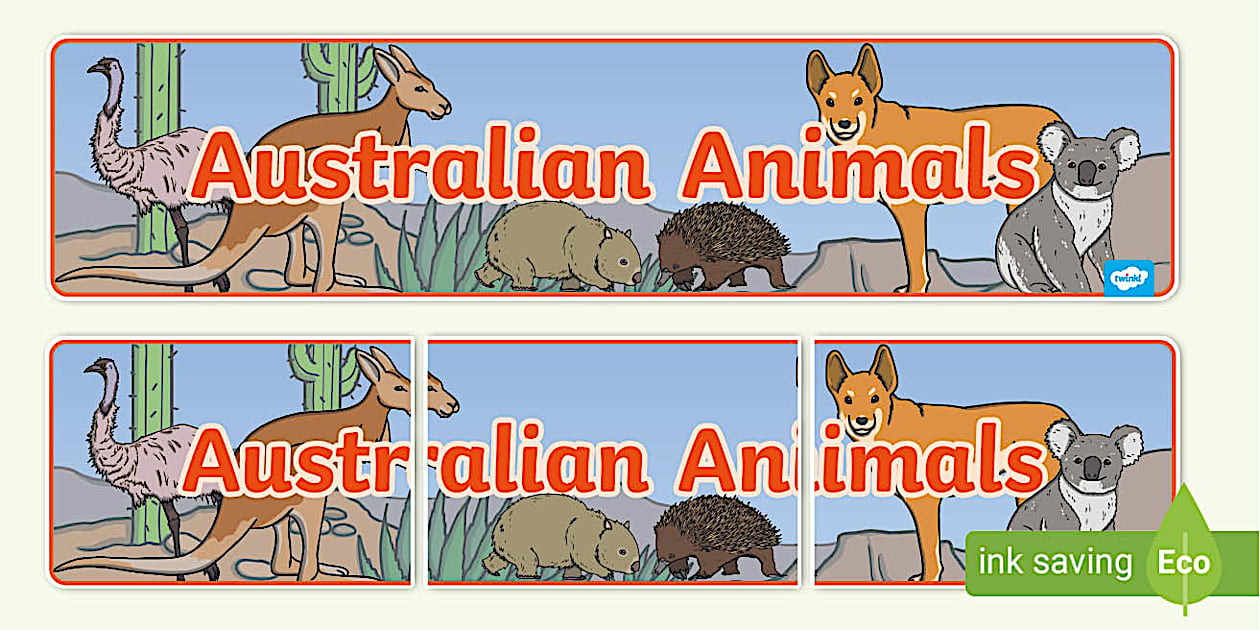 Australian Animal Banner - Display Resource - Twinkl