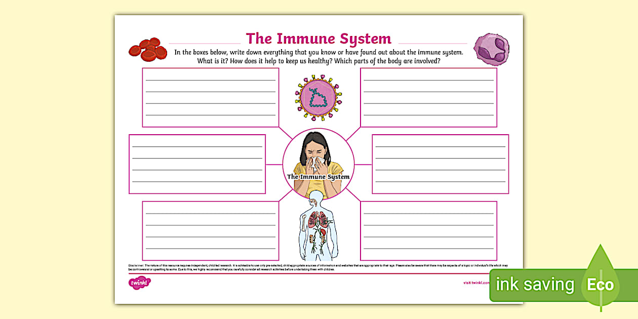 The Immune System Mind Map (teacher made) - Twinkl