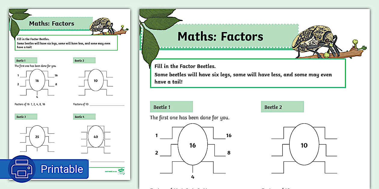 Grade 4 Maths: Factors: Beetle 3 (teacher made) - Twinkl