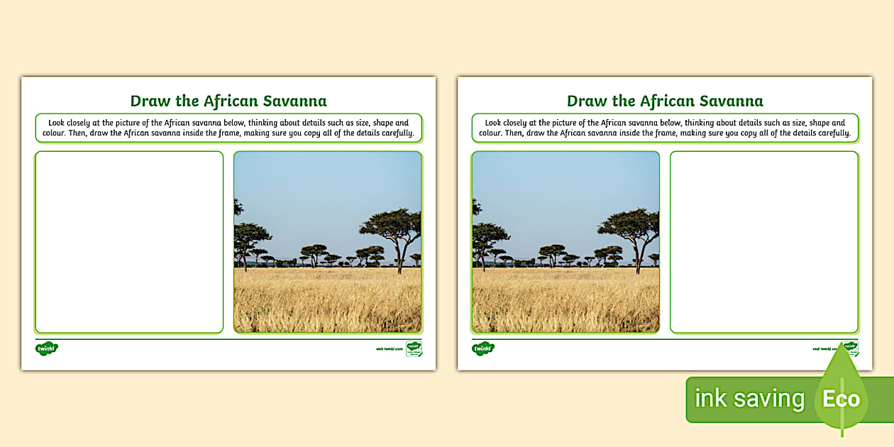 Draw the African Savanna Worksheet (teacher made) - Twinkl