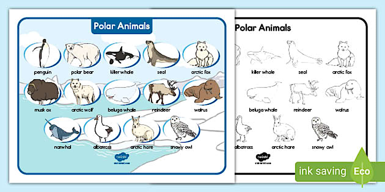Polar Animals Names Habitat Word Mat | K-2 Life Science