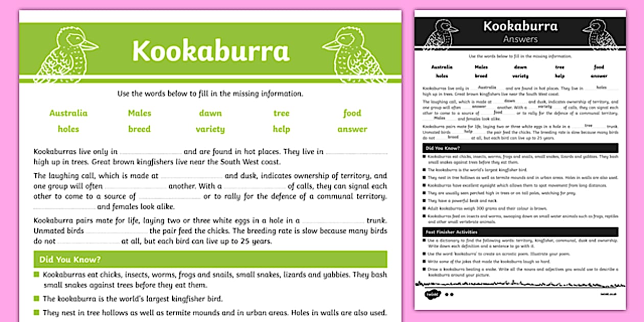 Lower Ability Australian Animals Years 3-6 Kookaburra Differentiated Cloze