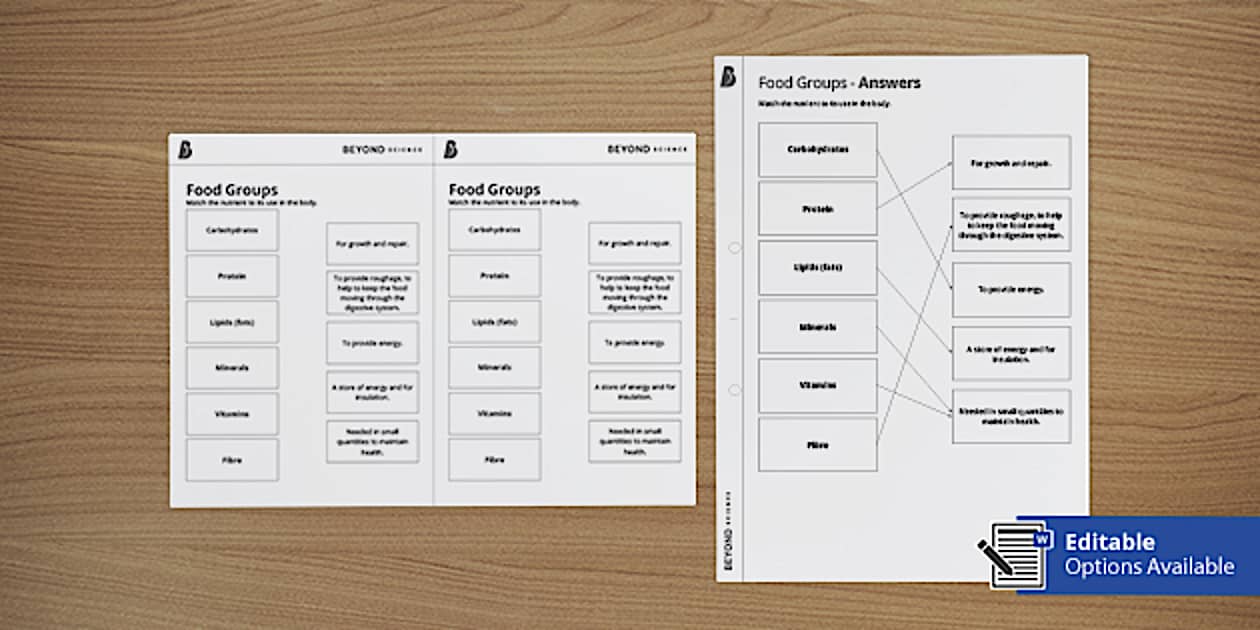 Editable Food Groups Match and Draw (teacher made) - Twinkl