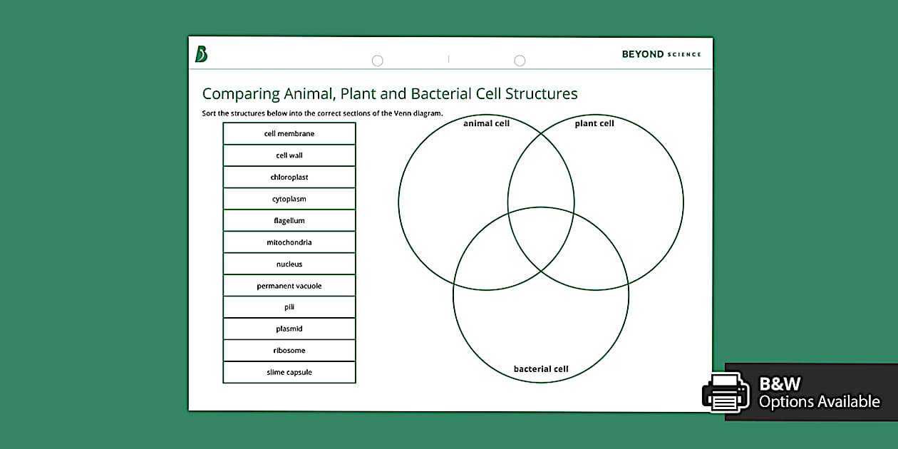 Comparing Cell Structures Venn Diagram | Beyond Science