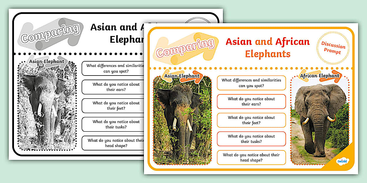 Comparing Asian and African Elephants Discussion Prompt