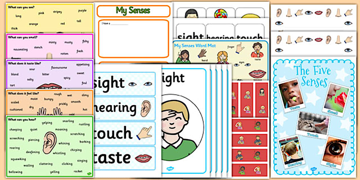 All About Me: My Senses Resource Pack (teacher made)