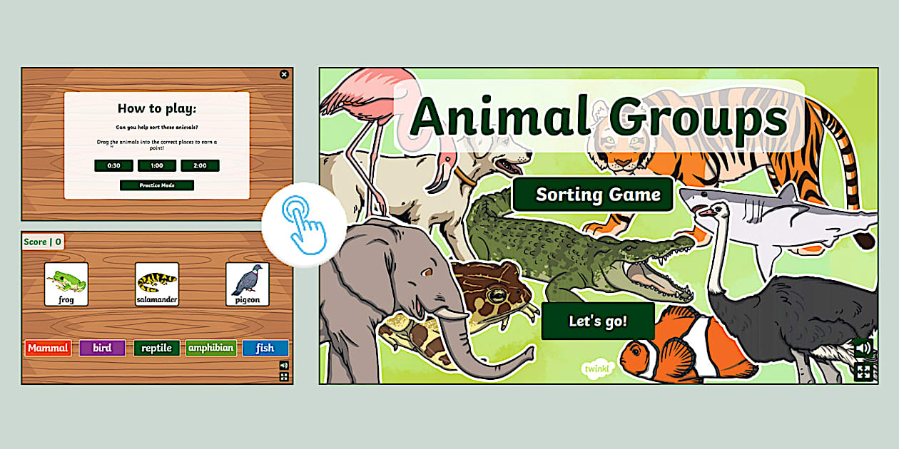 Animal Groups Interactive Sorting Game - Twinkl