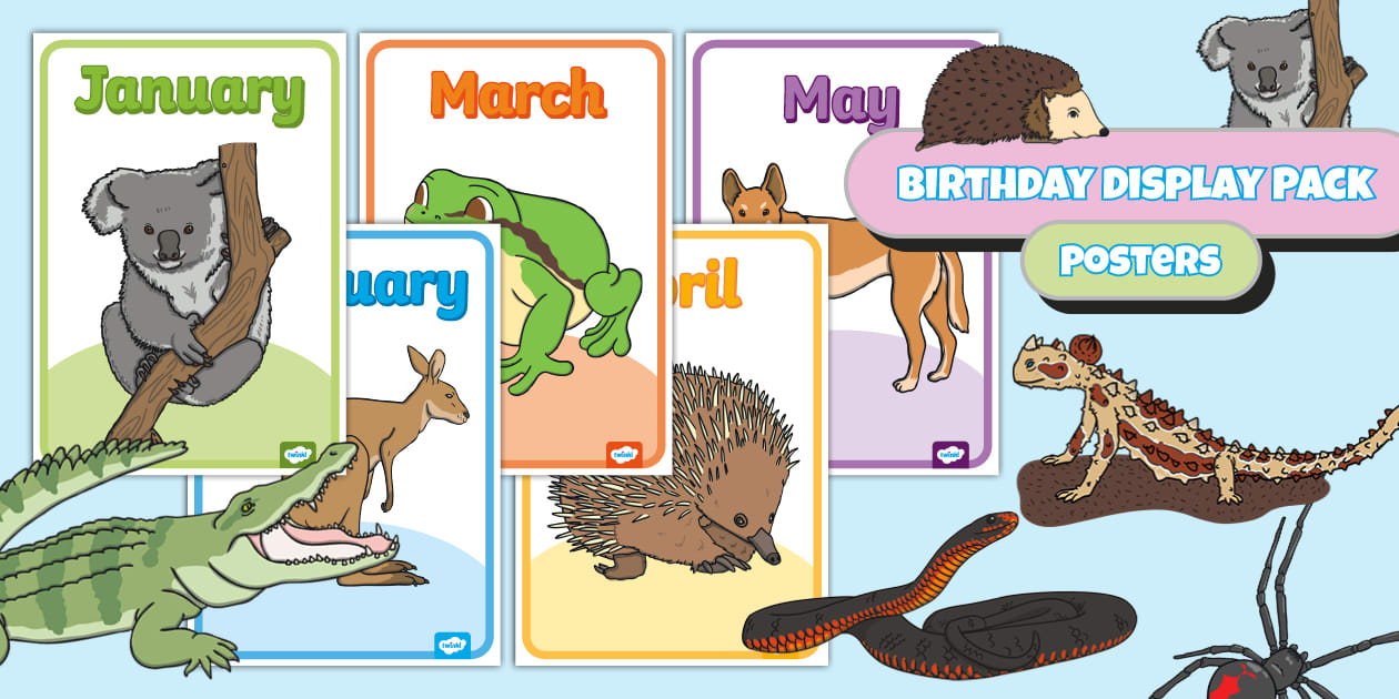 Australian Animals Birthday Display Pack