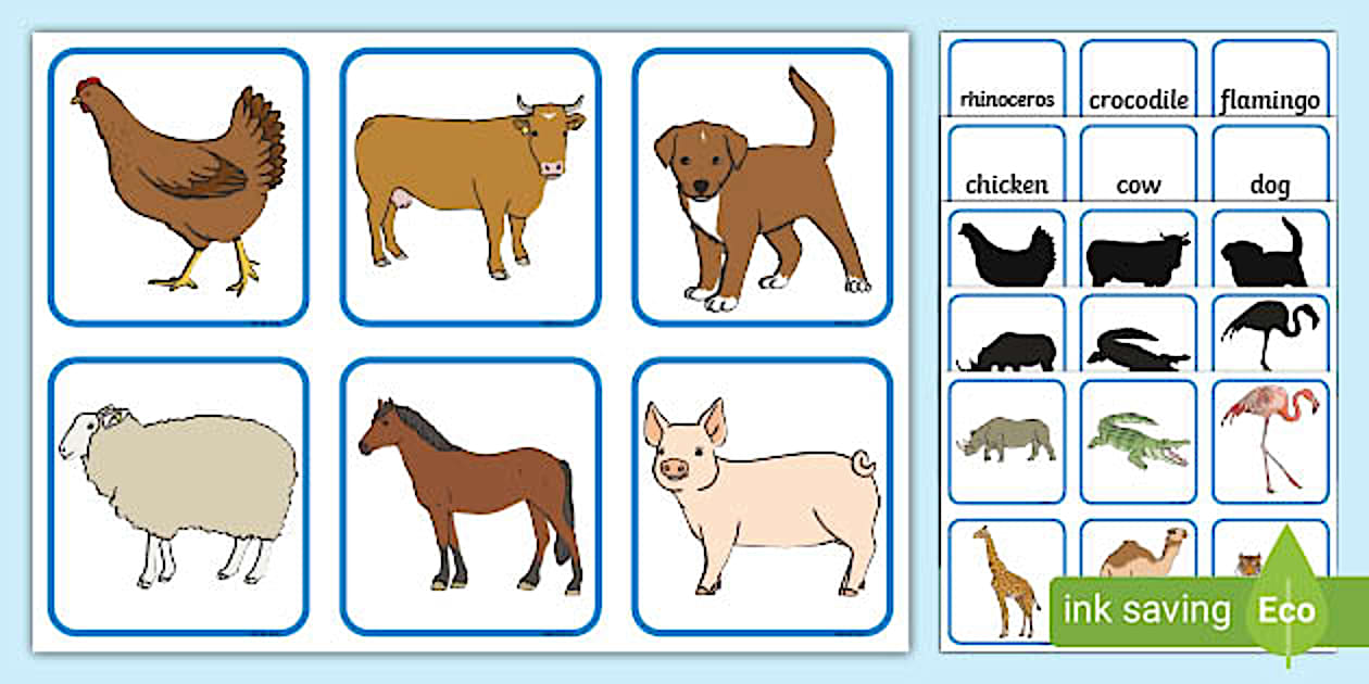 Animal-Themed Shadow Matching Cards