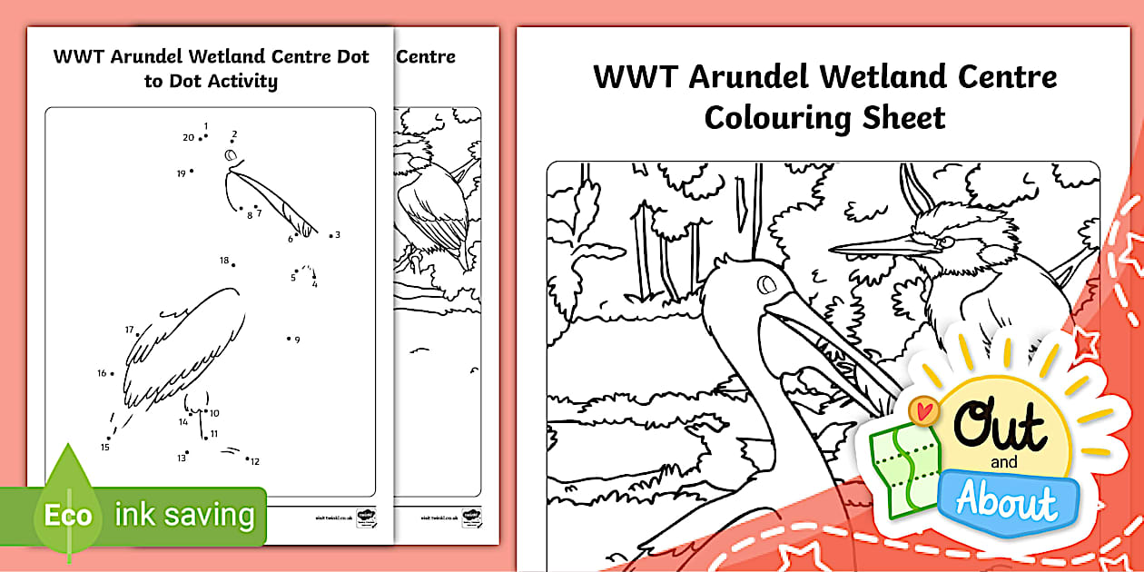 WWT Arundel Wetland Centre Activity Pack (Teacher-Made)