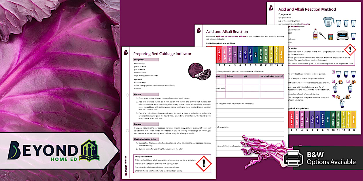 Red Cabbage Indicator Home Learning Investigation | Beyond