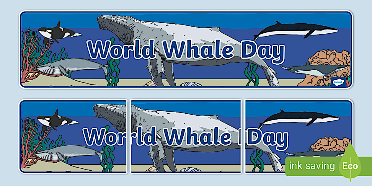 World Whale Day Banner - KS1 (teacher made) - Twinkl