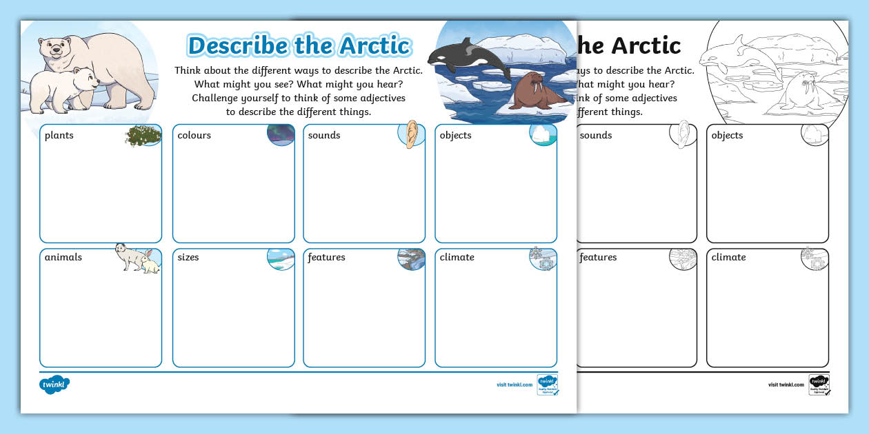 Awesome Arctic Adjectives Worksheet (teacher made) - Twinkl