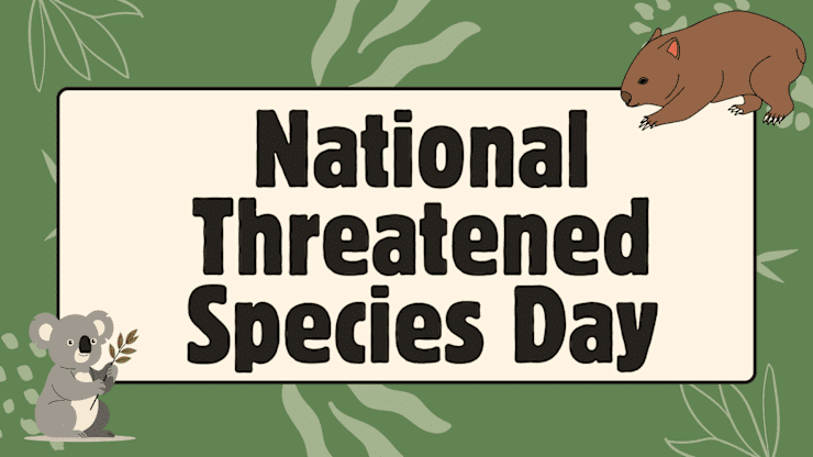 National Threatened Species Day Australia - Twinkl