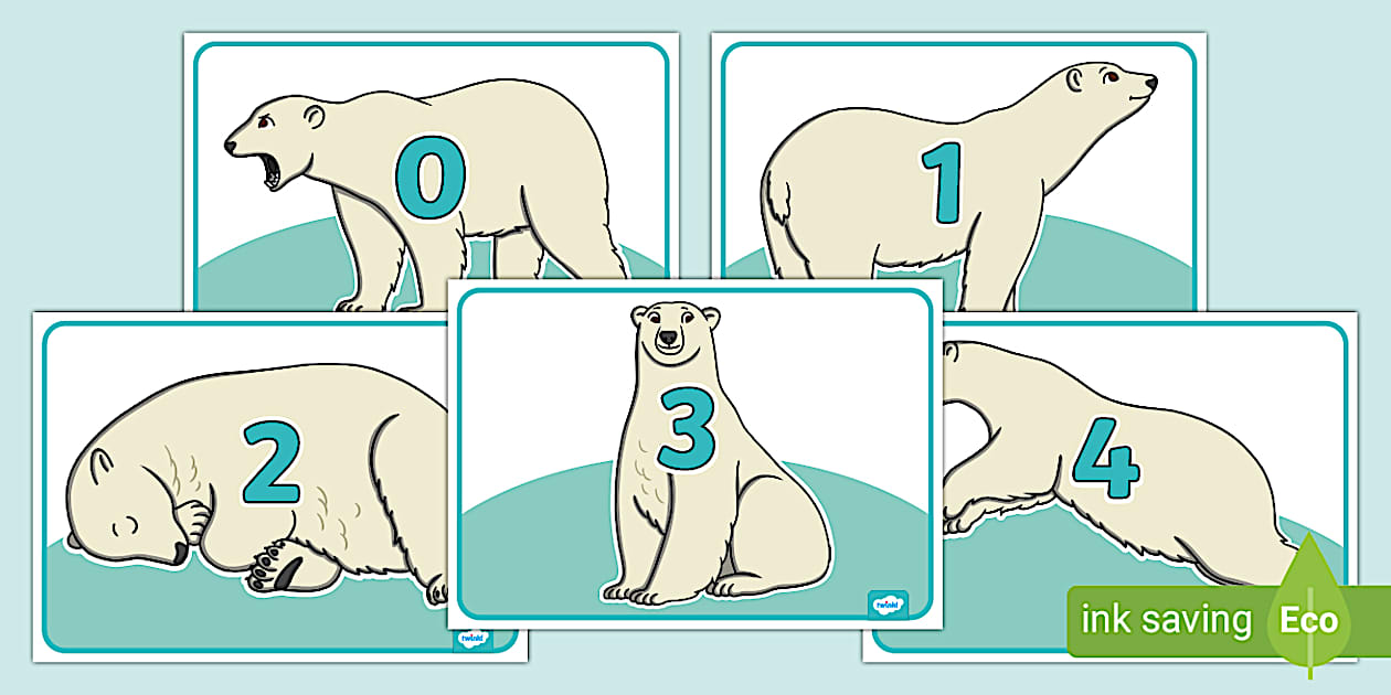 Polar Bear Display Numbers - Twinkl - KS1 (Teacher-Made)