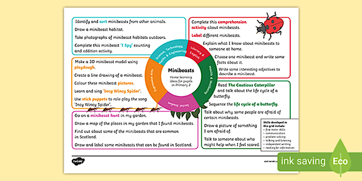 Minibeasts P2 Mini Home Learning Topic (teacher made)
