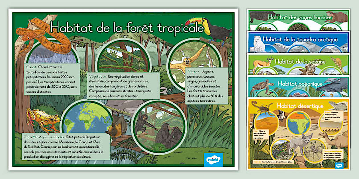 Projet d'affiches sur les habitats des animaux : Exploration des habitats