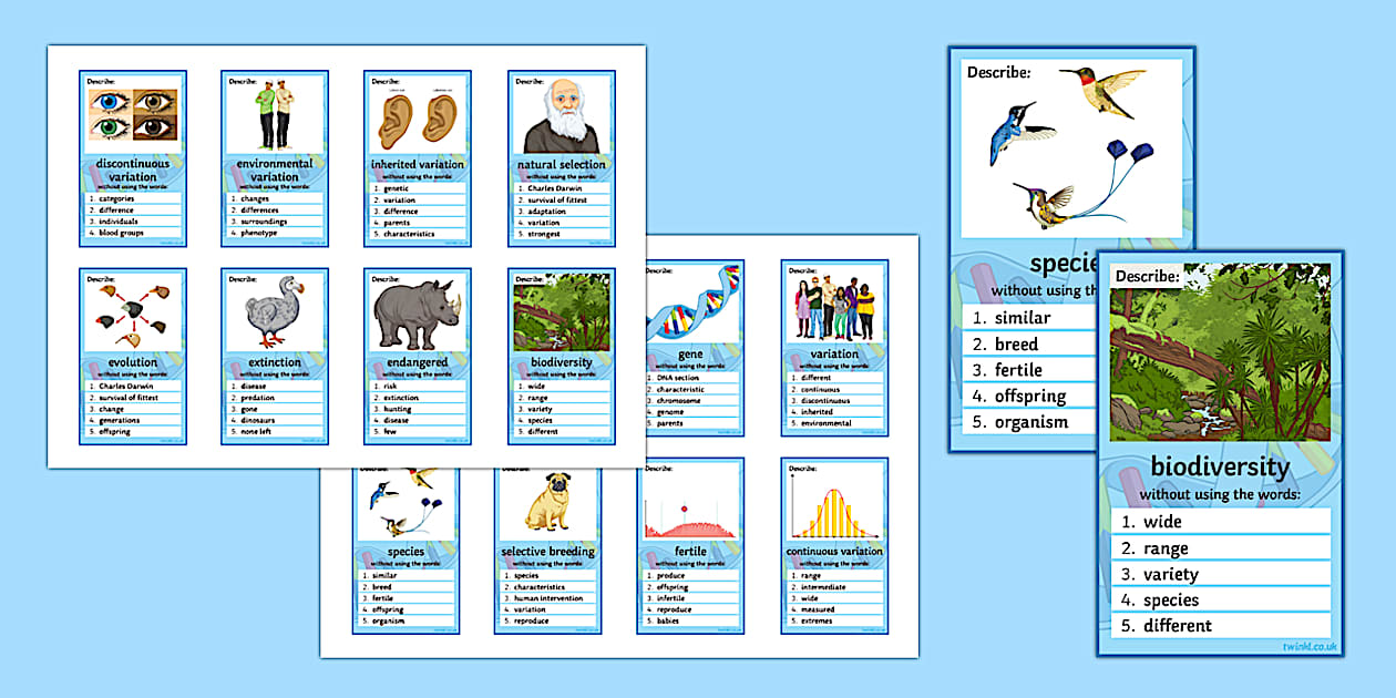 DNA, Inheritance and Variation Can You Guess? Cards - Twinkl