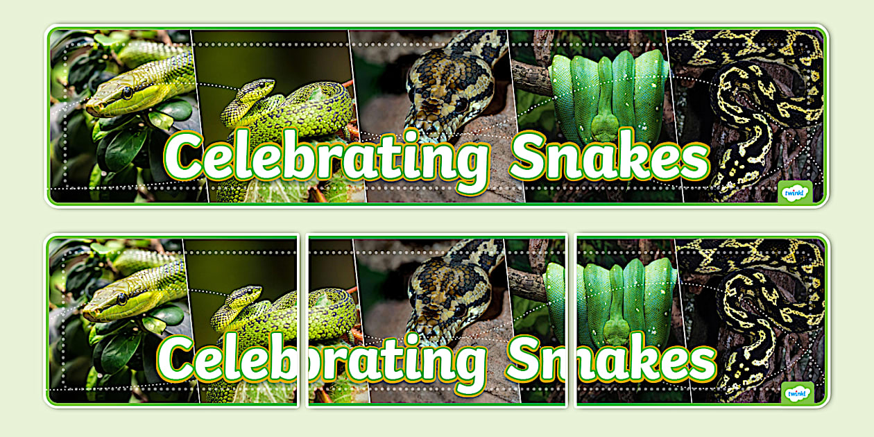 Celebrating Snakes Photo Display Banner (Teacher-Made)