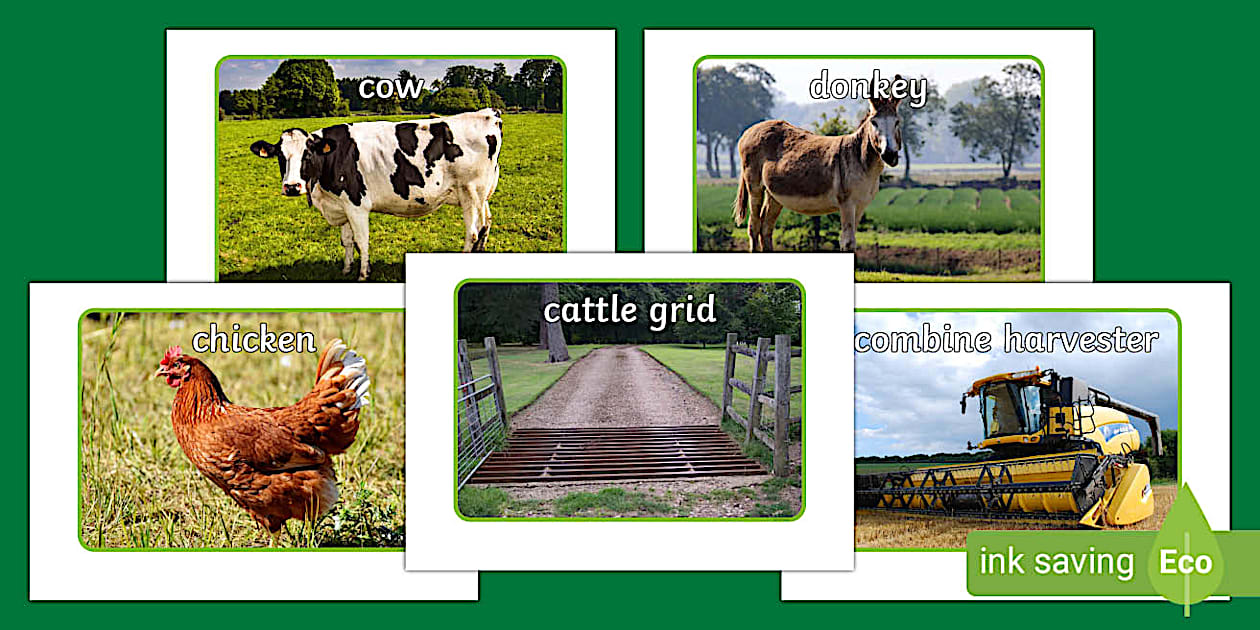 On The Farm Display Photos | Twinkl (teacher made) - Twinkl