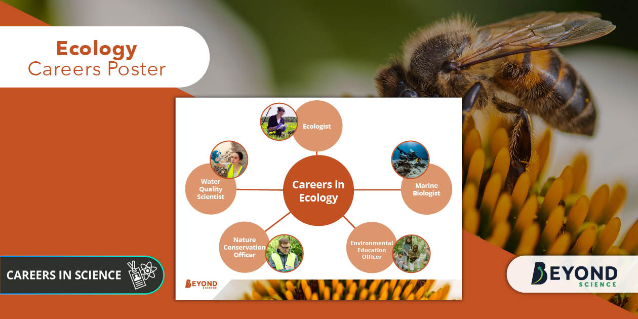 Careers in Ecology Poster | Secondary Science | Beyond
