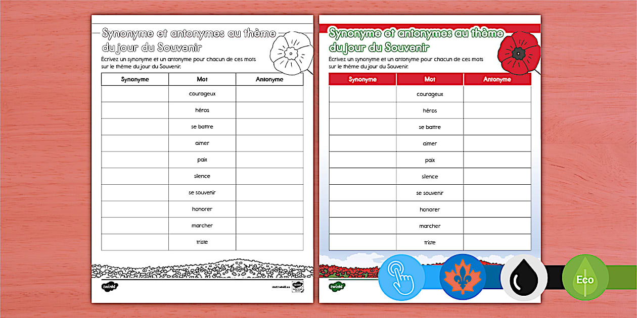 Remembrance Day Synonym and Antonym Worksheet French