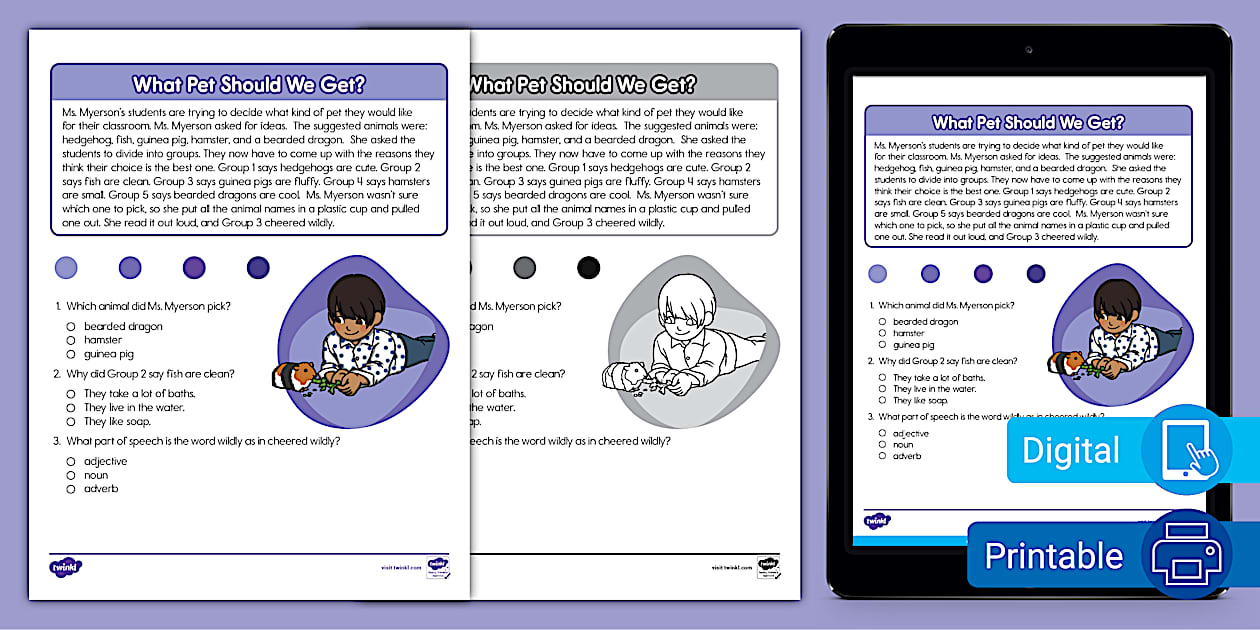 Second Grade Pet Reading Comprehension | Twinkl USA - Twinkl