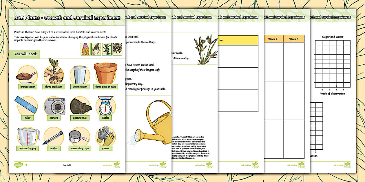 UAE Plants - Growth and Survival Experiment - Differentiated