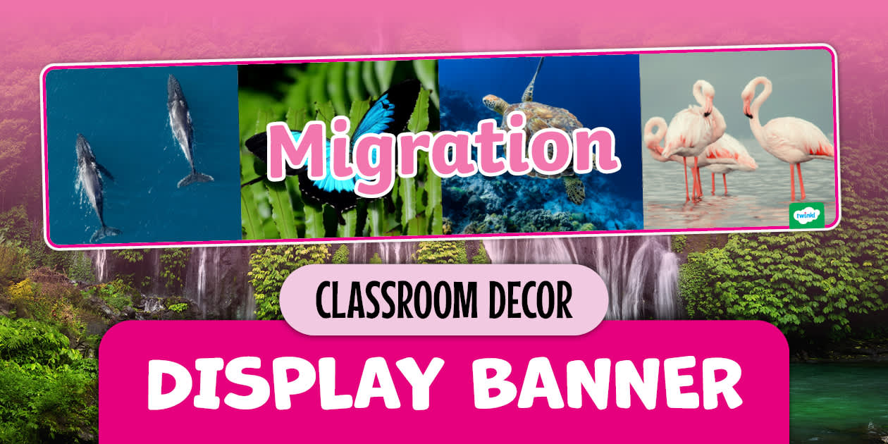 Migration Display Banner