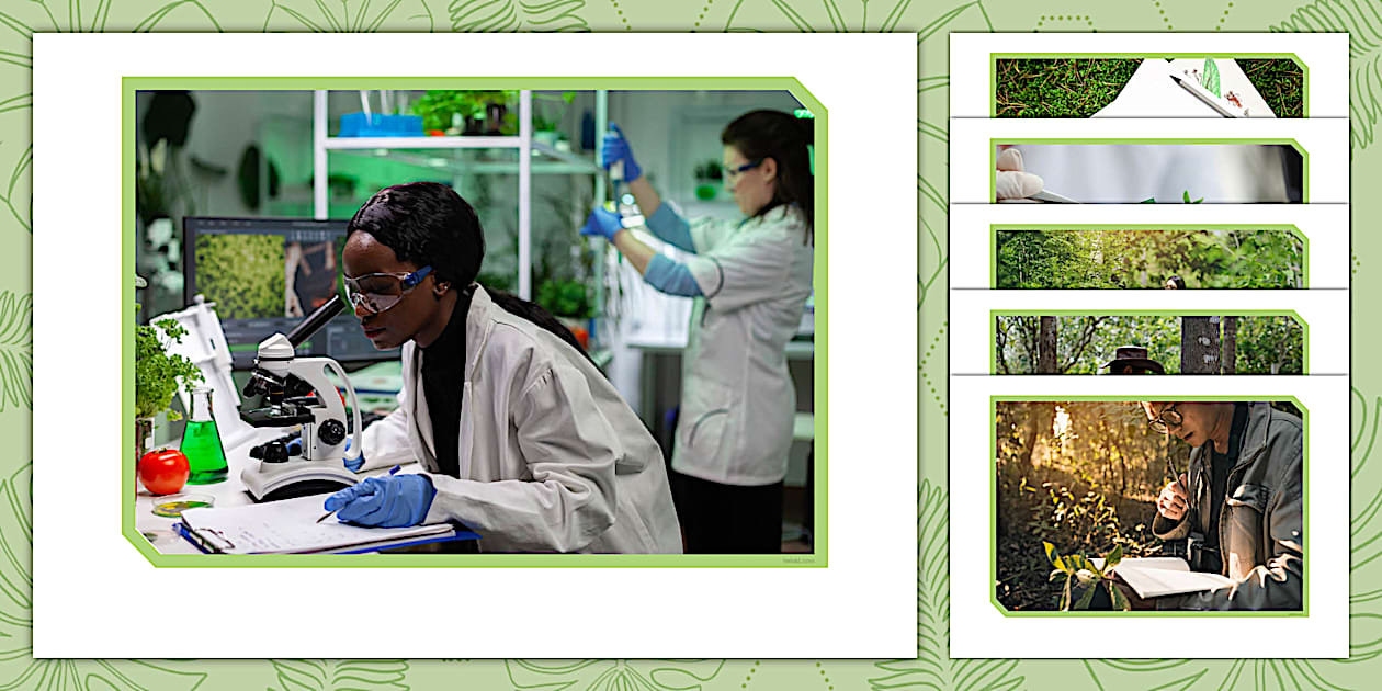 STEM Jobs: Botanist Display Photos (teacher made) - Twinkl
