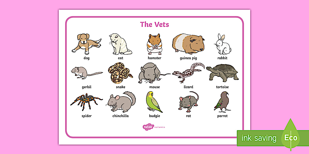 The Vets Animals Aistear Word Mat (teacher made) - Twinkl