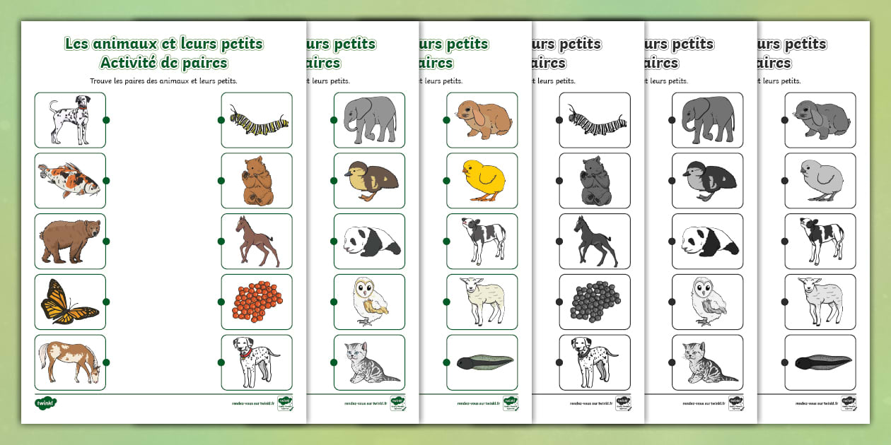 Activité de paires : Les animaux et leurs petits - Twinkl