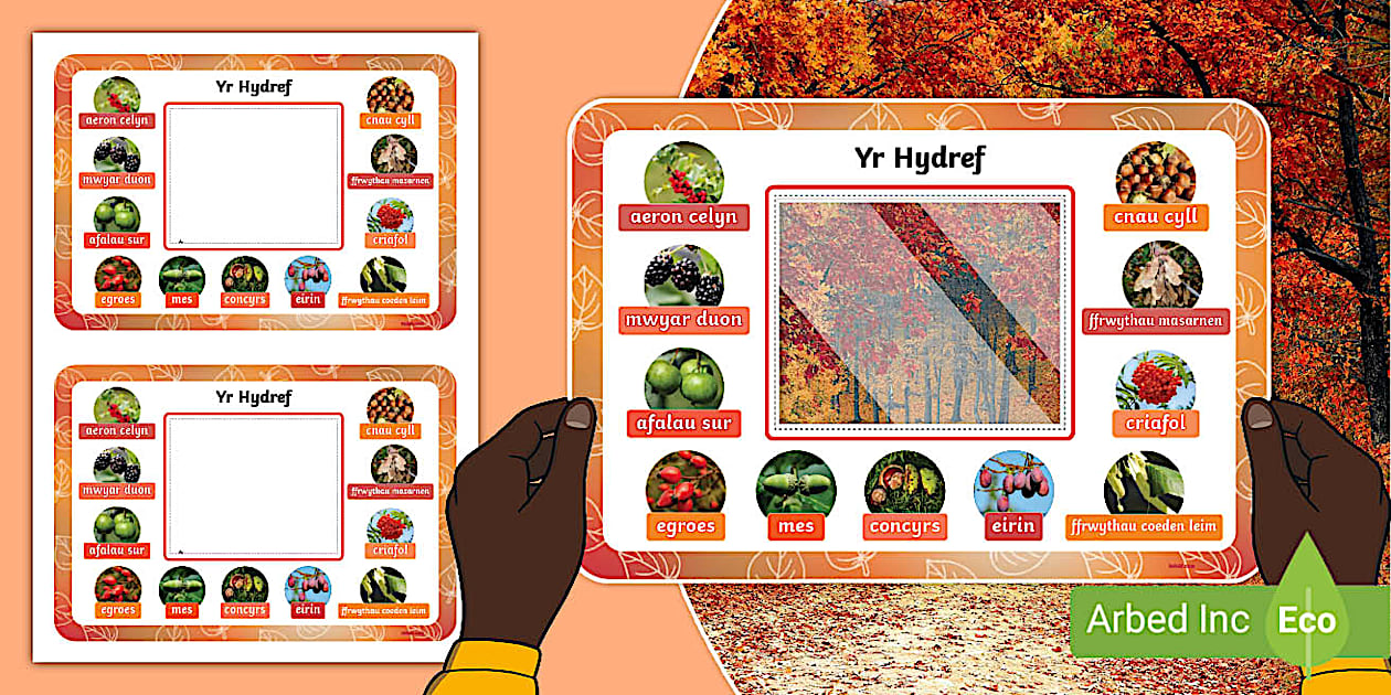 Ffrâm Ysbïo Natur: Yr Hydref (Teacher-Made) - Twinkl