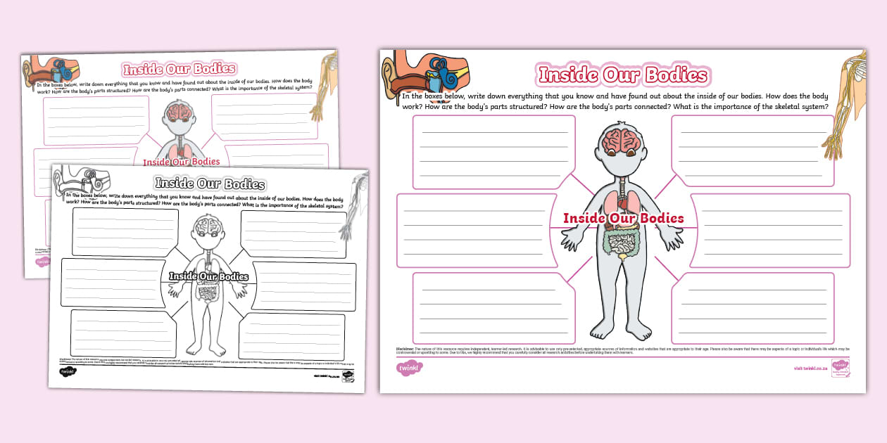 Grade R - English- Writing - Mind Map: Inside Our Bodies