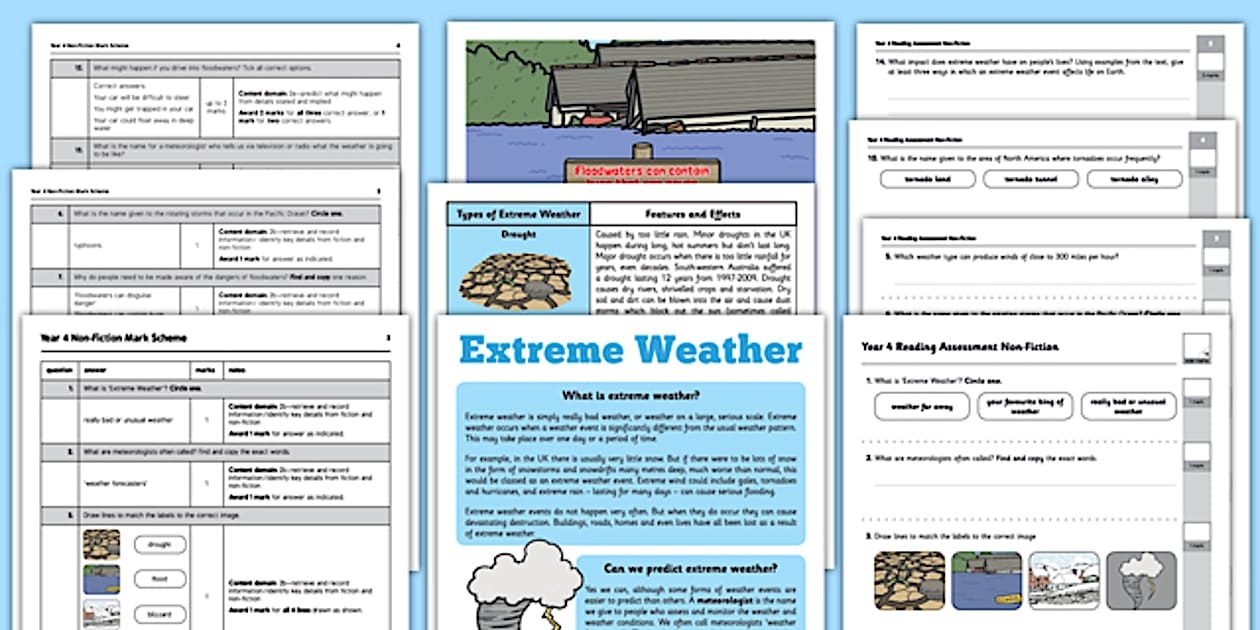 Year 4 Term 3 Non-Fiction Reading Assessment (teacher made)