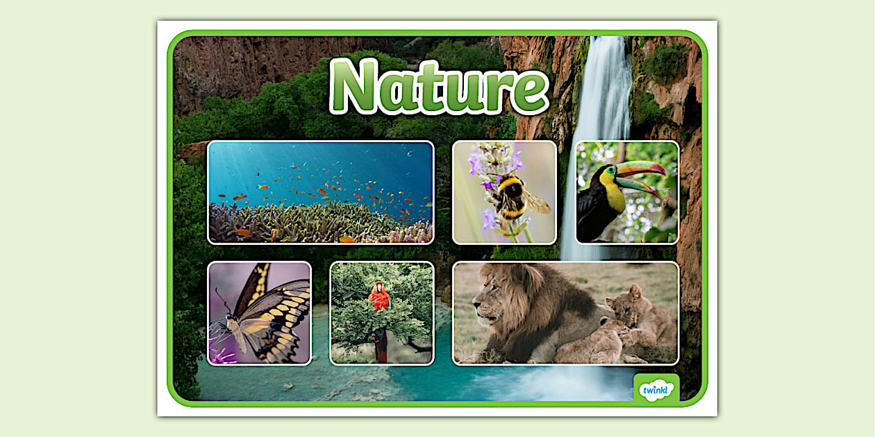 Nature Photo Display Poster (Teacher-Made) - Twinkl