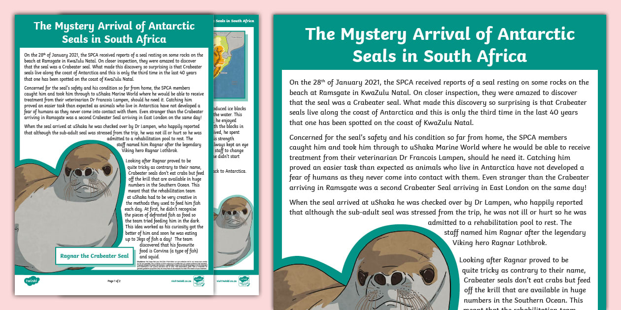 Antarctic Seals in South Africa | Reading Comprehension