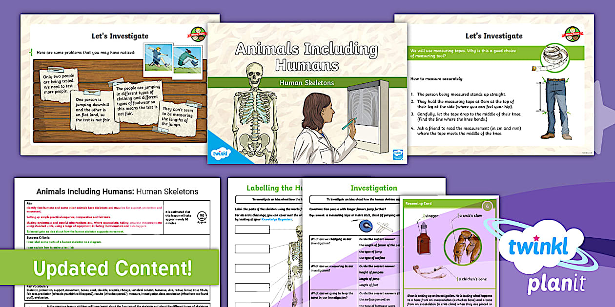The Human Skeleton For KS2 | Year 3 Science Lesson Pack