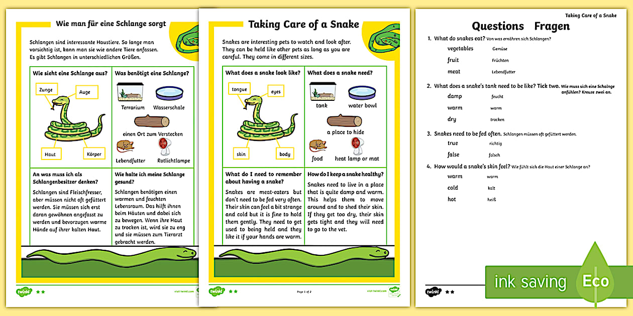 How to Look After a Snake Differentiated Reading Comprehension Activity