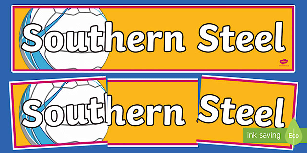 Dyslexic Southern Steel Netball Display Banner Australian